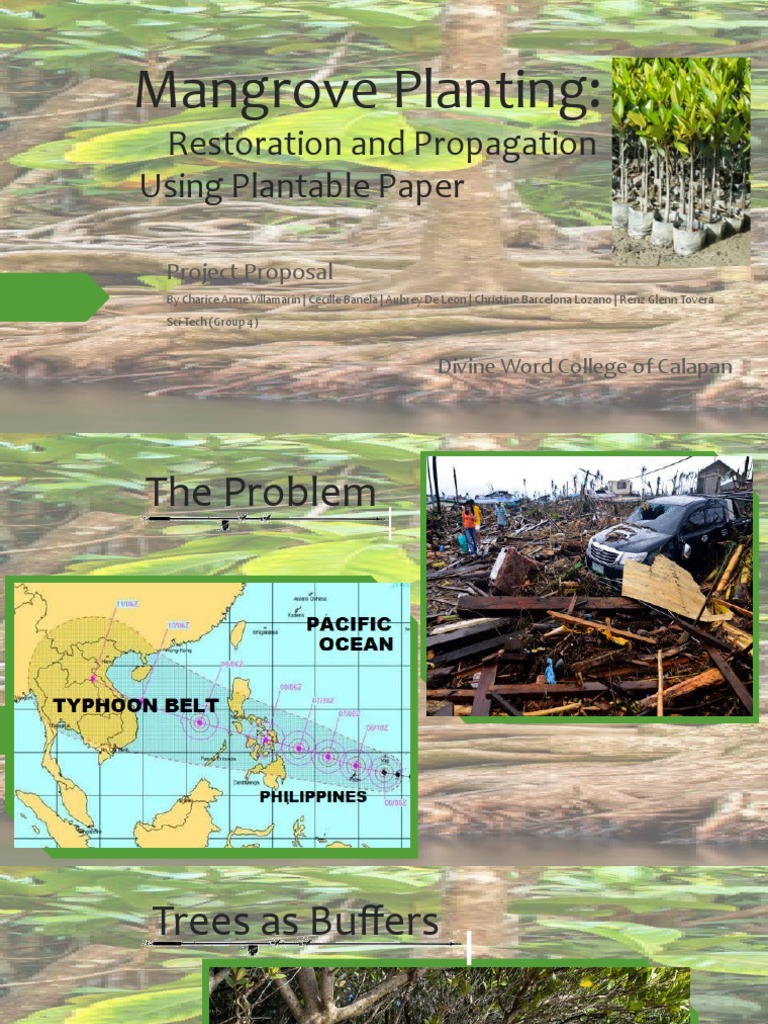Mangrove Planting:: Restoration and Propagation Using Plantable Paper ...