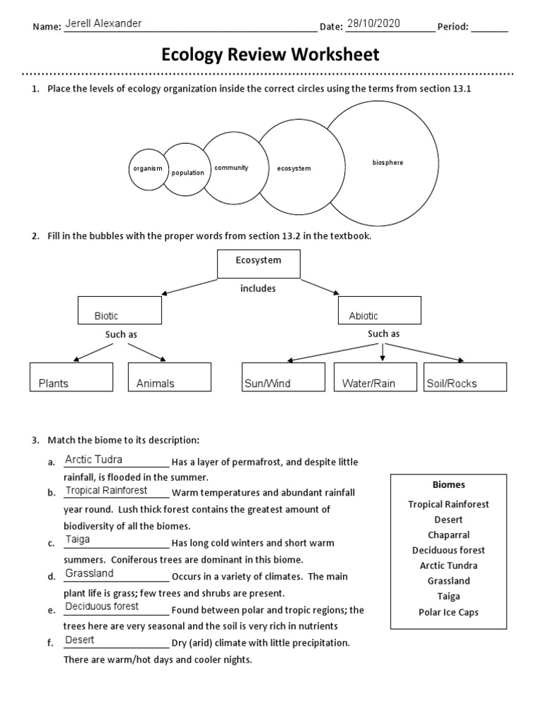 Ecology Review Worksheet: Biotic Abiotic | PDF | Food Web | Forests