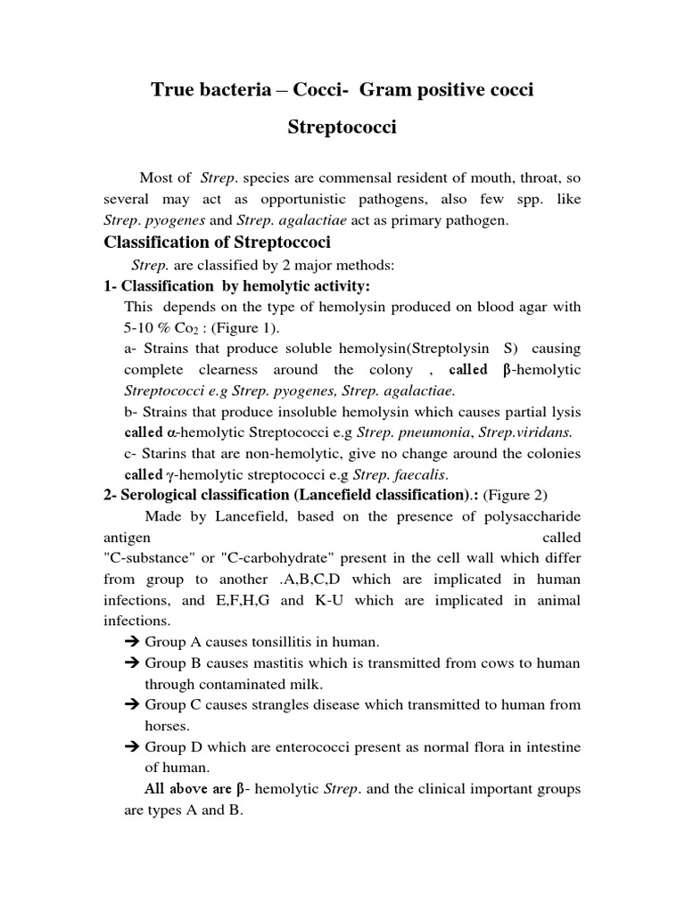 True Bacteria - Cocci-Gram Positive Cocci Streptococci: Classification of Streptoccoci | PDF ...