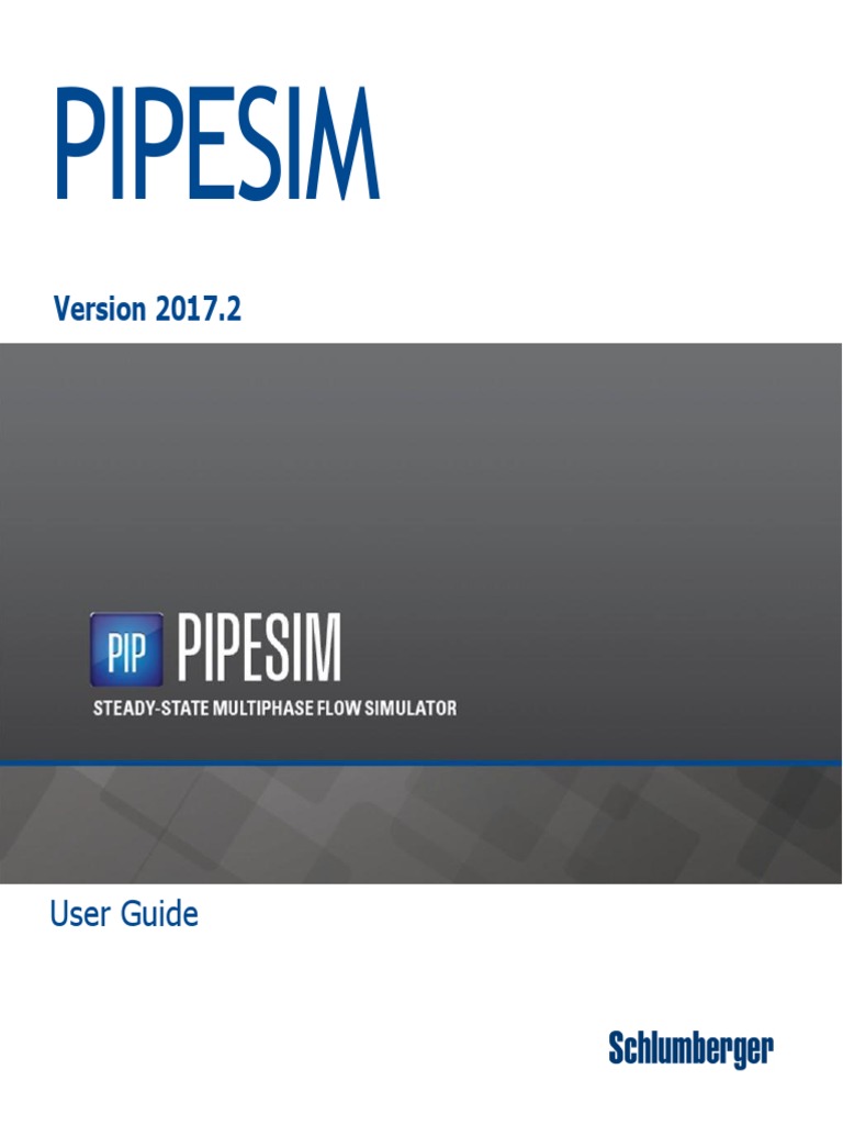 Pipesim: User Guide | PDF | Nature