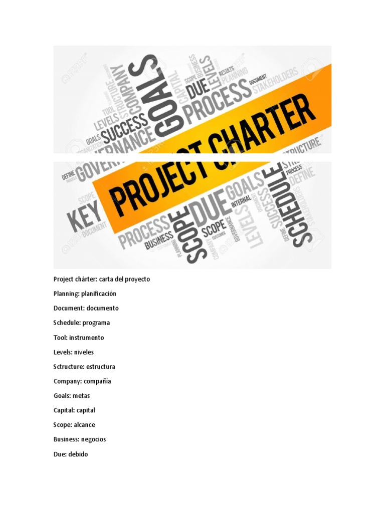 Project Chárter | PDF | Negocios