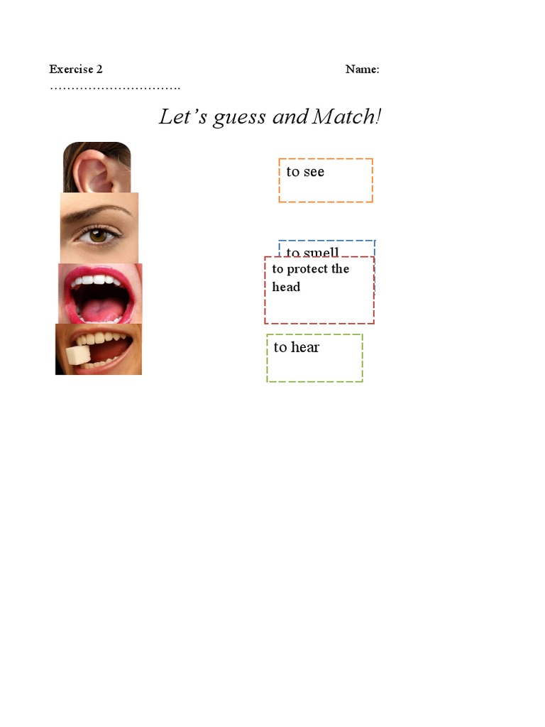 Worksheet 2 Guess and Match | PDF