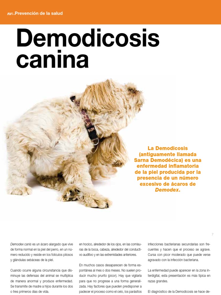 Demodicosis canina: causas y tratamiento | PDF | Perros | Medicina