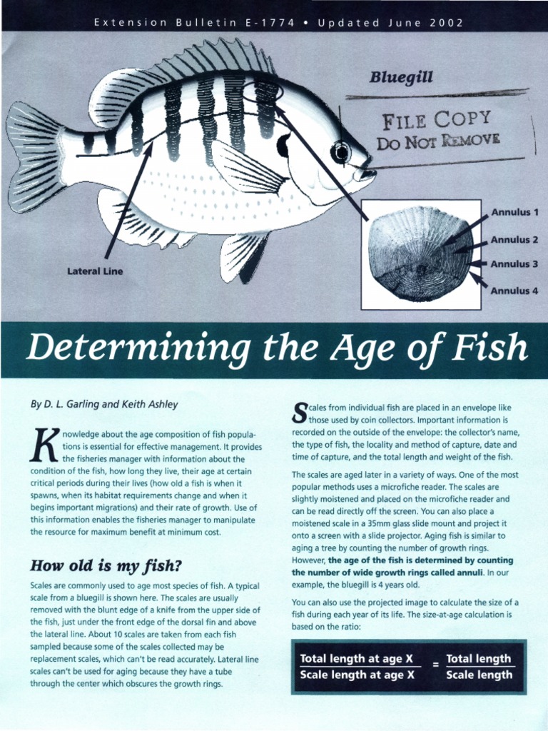 Fish Ageing Guide for Fisheries Managers | PDF | Fish | Vertebral Column