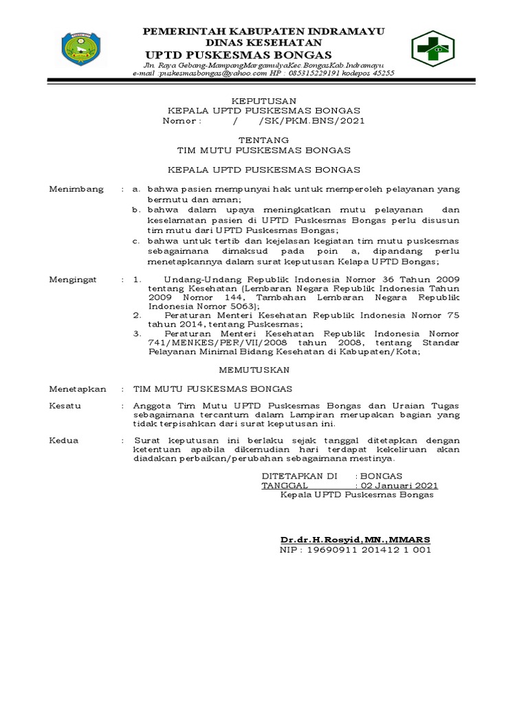 SK TIM Mutu Puskesmas | PDF