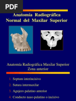 Region Geniana | PDF | Cabeza y cuello humanos | Anatomía humana