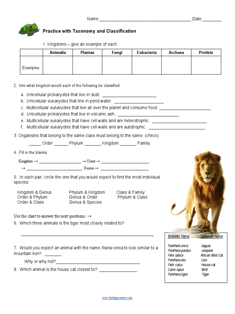 Taxonomy and Classification Practice | PDF | Panthera | Biological ...