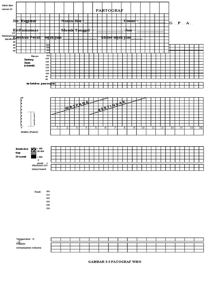 Lembar Partograf | PDF