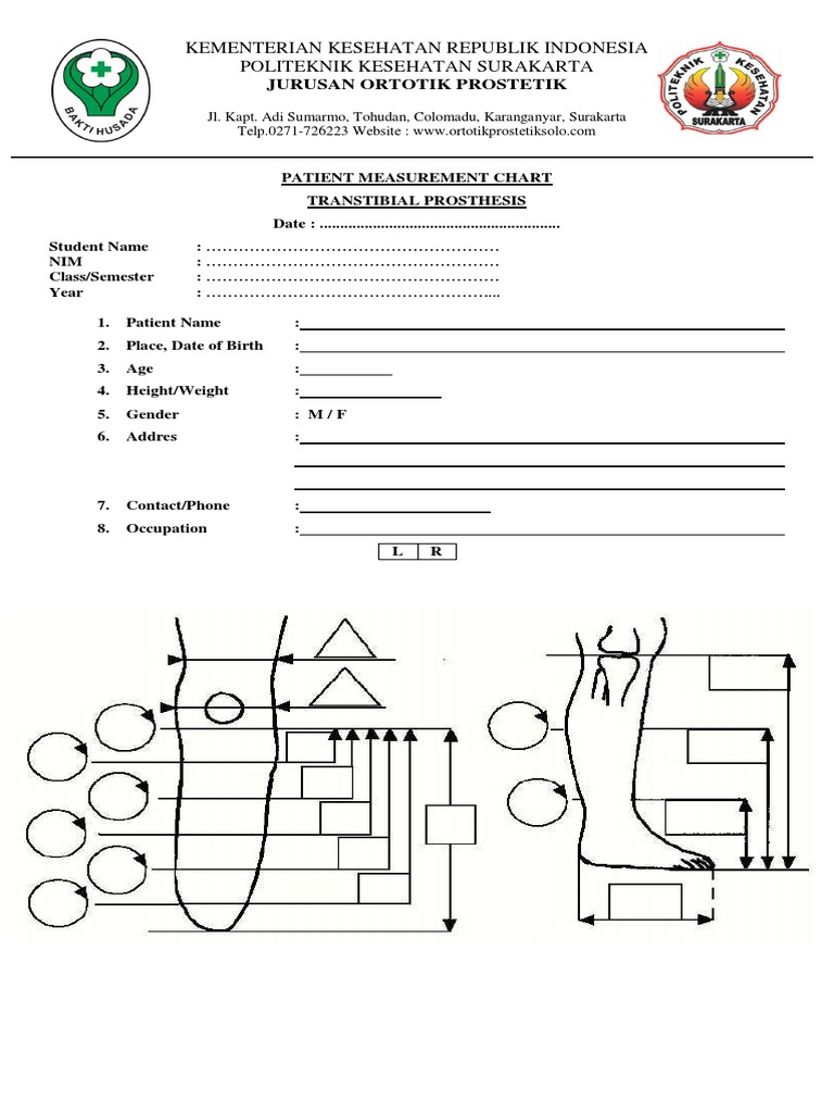 TT Measurement Chart | PDF