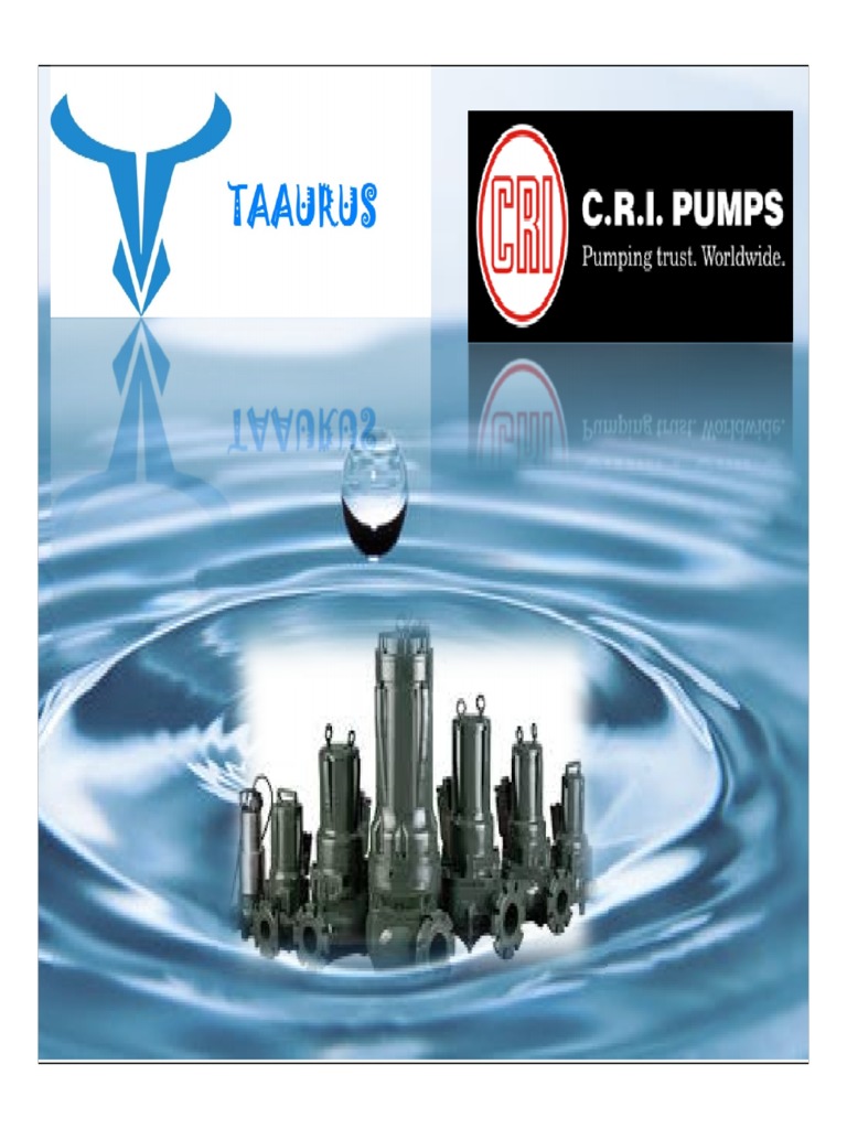 Cri Pump Specifications | PDF