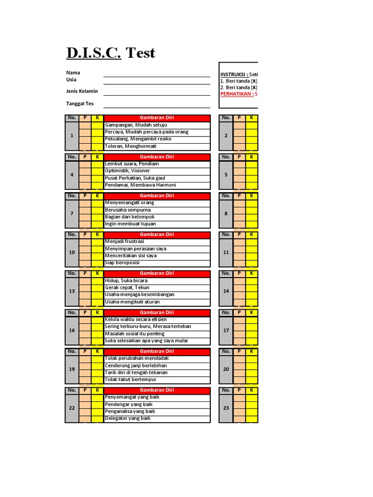 Software Excel DISC Profesional | PDF
