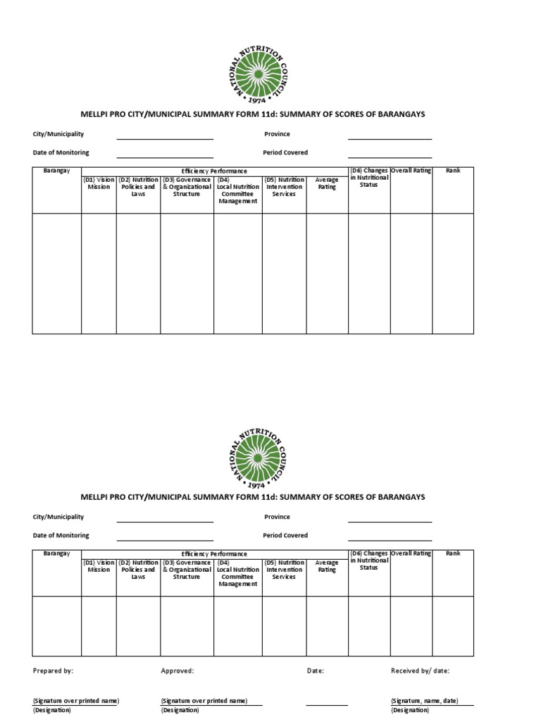 MELLPI Pro Form 11 City Mun Summary | PDF