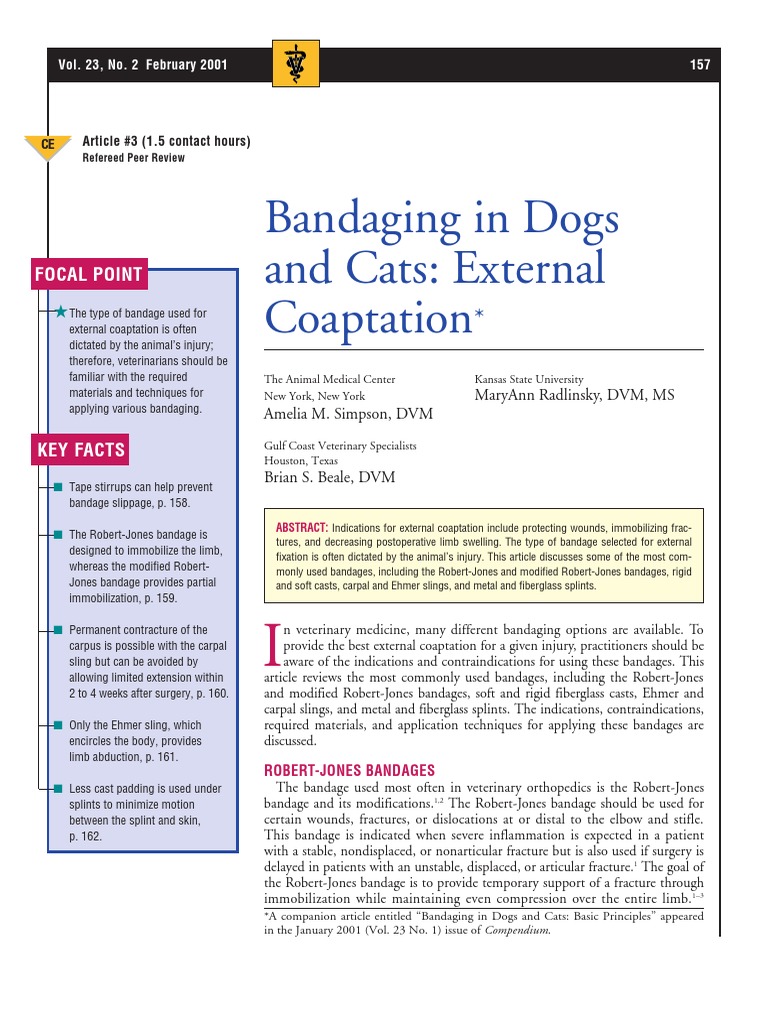 Bandaging in Dogs and Cats: External Coaptation: Focal Point | PDF ...