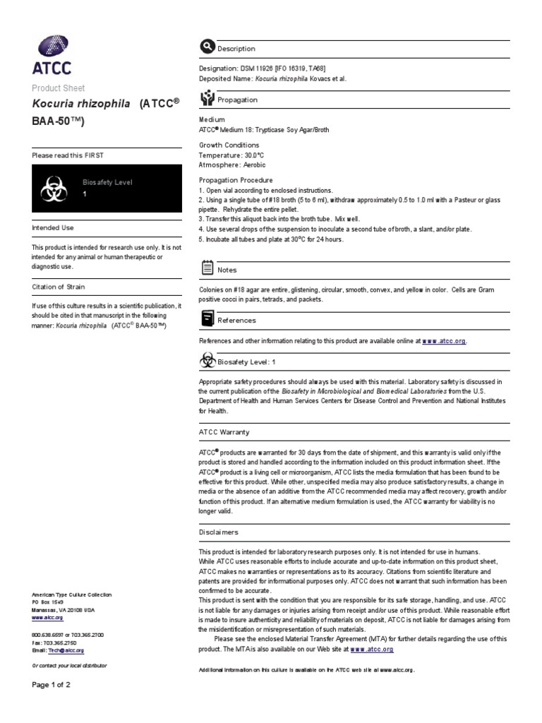 Kocuria Rhizophila ATCC | PDF | Atcc (Company) | Biology