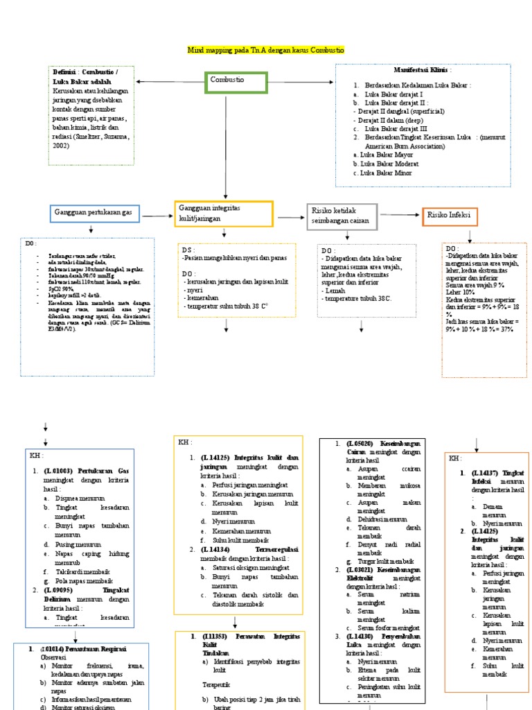 Mapping Pada Combustio | PDF