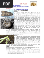 Candlestick Chart Gujrati Feb 2021 | PDF