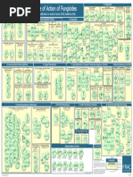 Frac Moa Poster 2021 | PDF | Biosynthesis | Adenosine Triphosphate