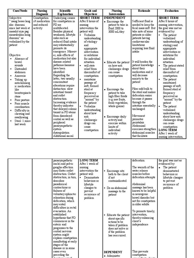 Cues/Needs Nursing Diagnosis Scientific Explanation Goals and Objectives Nursing Intervention ...