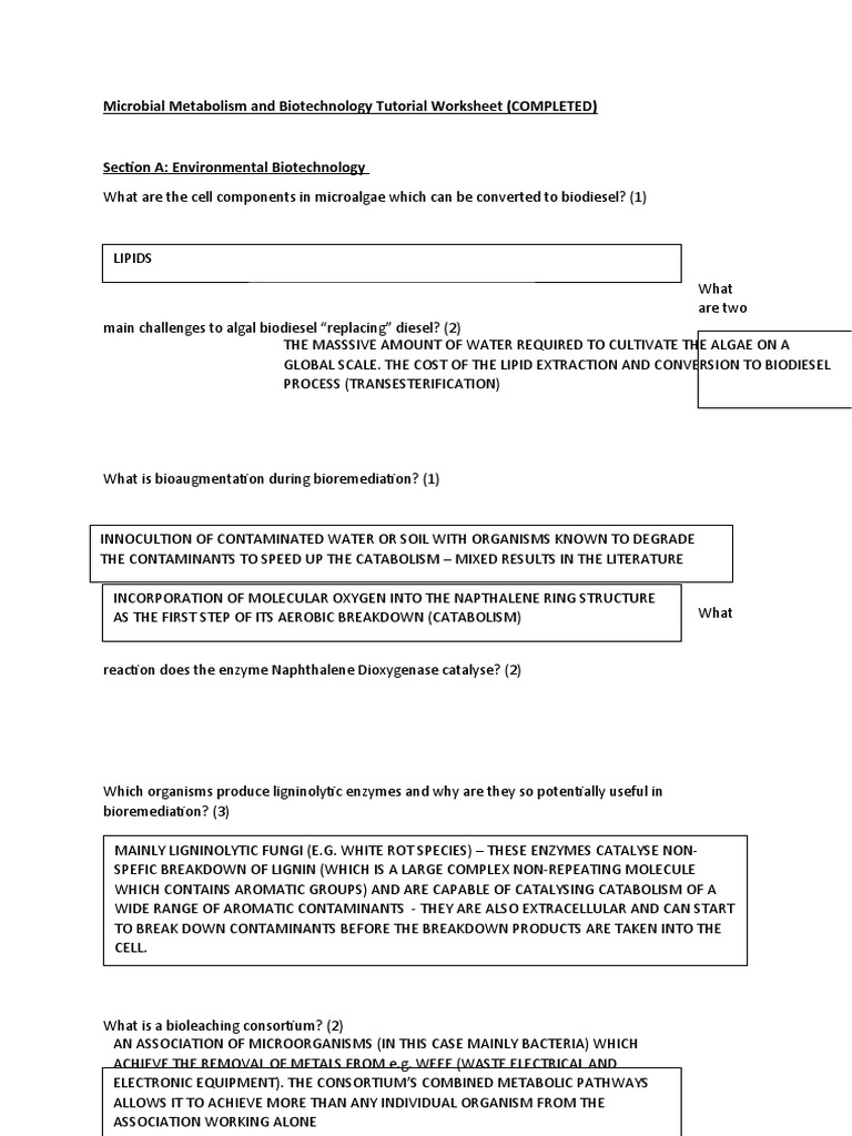 Microbial Metabolism and Biotechnology Tutorial Worksheet | PDF ...