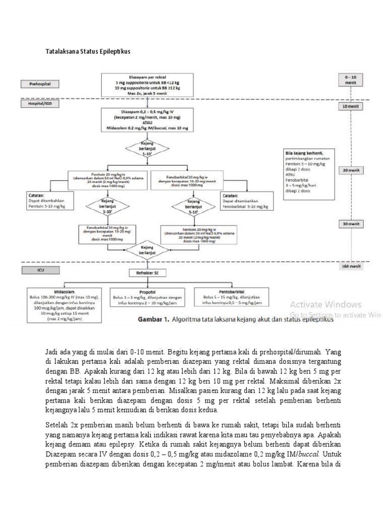 Tatalaksana Status Epileptikus | PDF