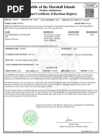 Mauritius All-in-One Travel Form Guide | PDF | Finance & Money Management