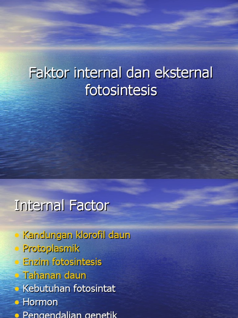 Faktor Internal Dan Eksternal FOTOSINTESIS | PDF
