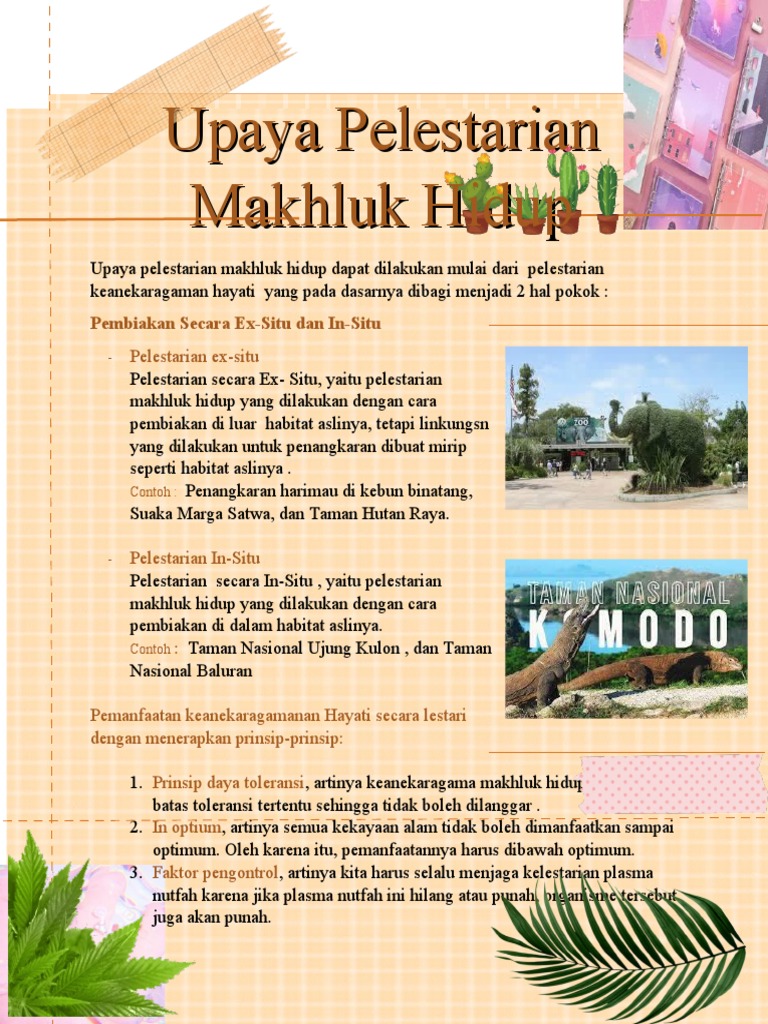 Leaflet Lingkungan | PDF