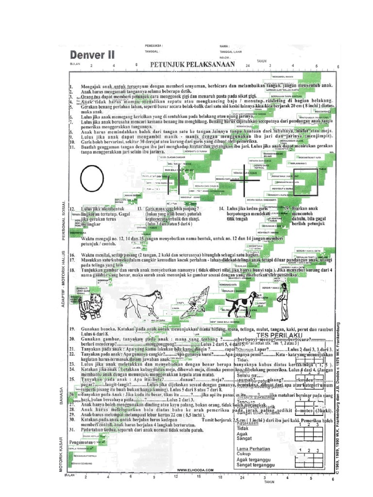 Formulir Denver 2 DDST | PDF