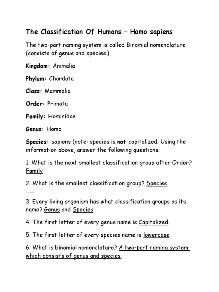 The Classification of Humans - Homo Sapiens | PDF | Social Science ...