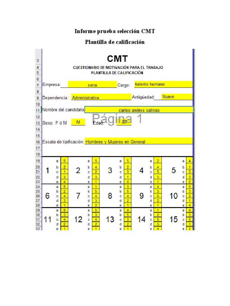 Informe Prueba Selección CMT | PDF