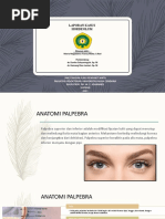 Kurva Lubchenco: Klasifikasi Berat Bayi Lahir | PDF