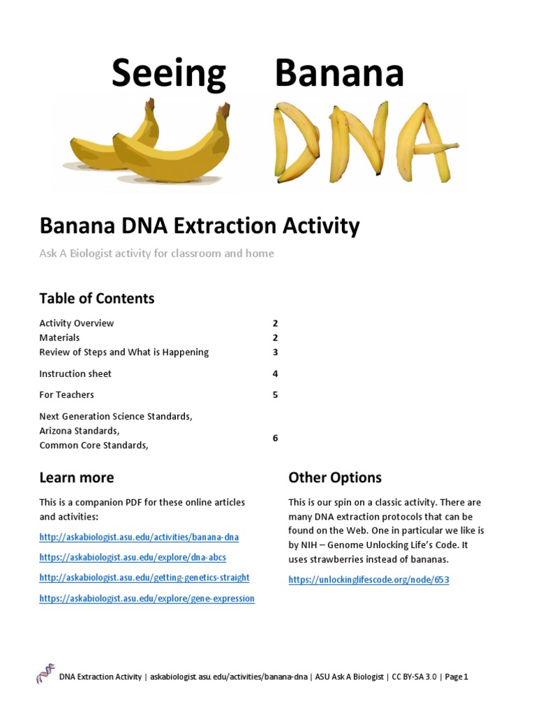 Banana DNA Extraction Activity Guide | PDF | Cell (Biology) | Gene