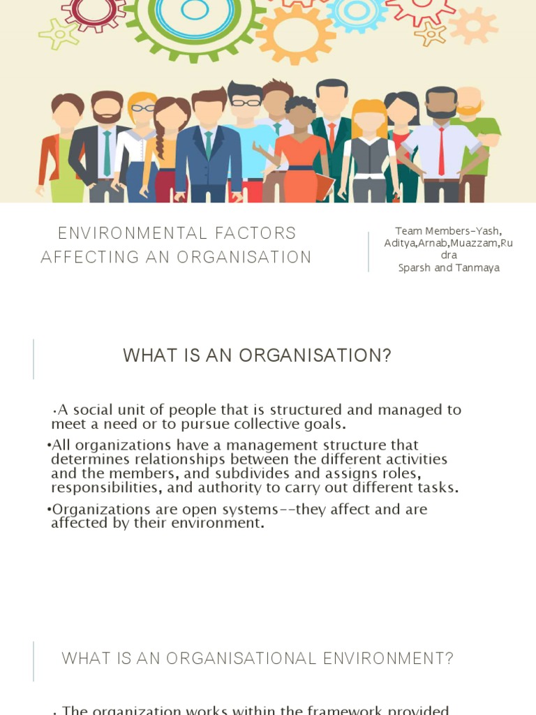 Environmental Factors Impacting Organizations | PDF | Value (Economics ...