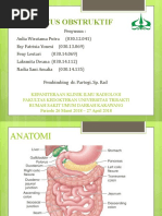 Meteorismus 1 | PDF | Kesehatan Holistik