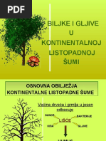 Lišćarske Listopadne Šume | PDF