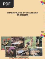 25 Vodozemci 1 | PDF