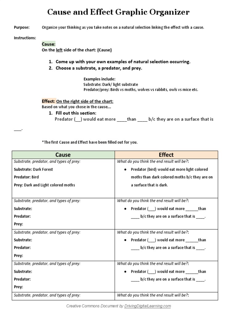 Graphic Organizer Natural Selection | PDF | Predation | Ethology