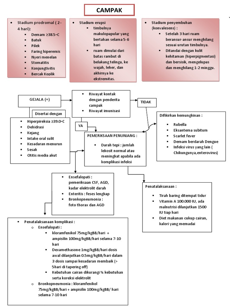 Clinical Pathway Campak | PDF