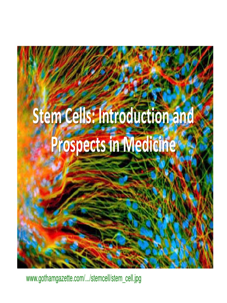 Stem Cells: Introduction and Prospects in Medicine | PDF | Stem Cell ...