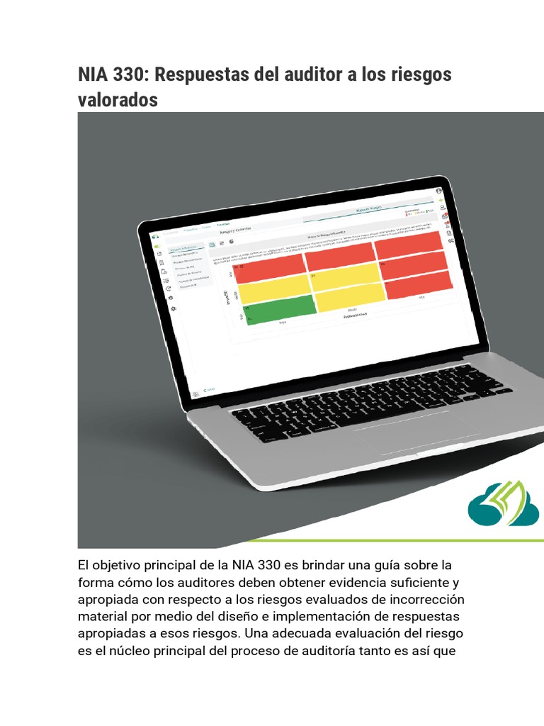 Nia 330 | PDF | Auditoría | Contralor