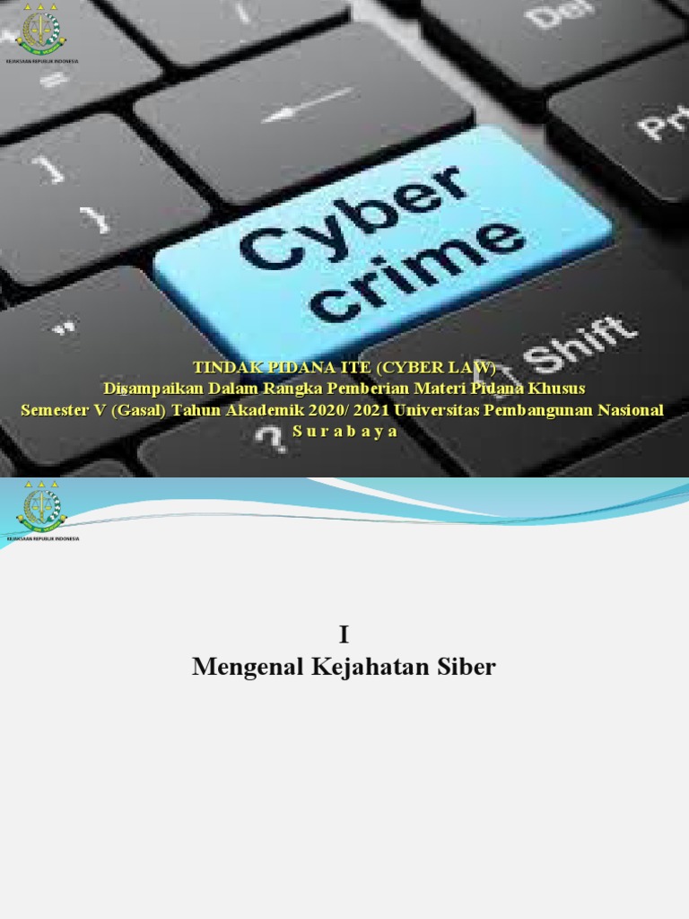 Cyber Law Pdf