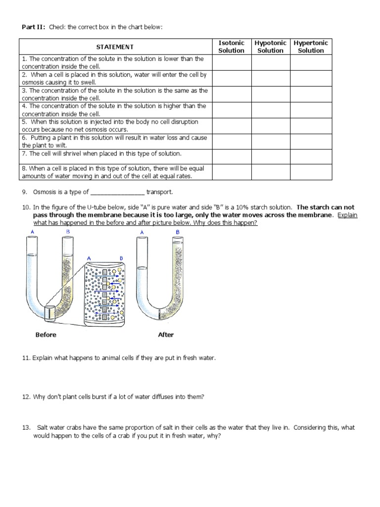 Osmosis Homework Worksheet - Palmeri | PDF | Osmosis | Life Sciences