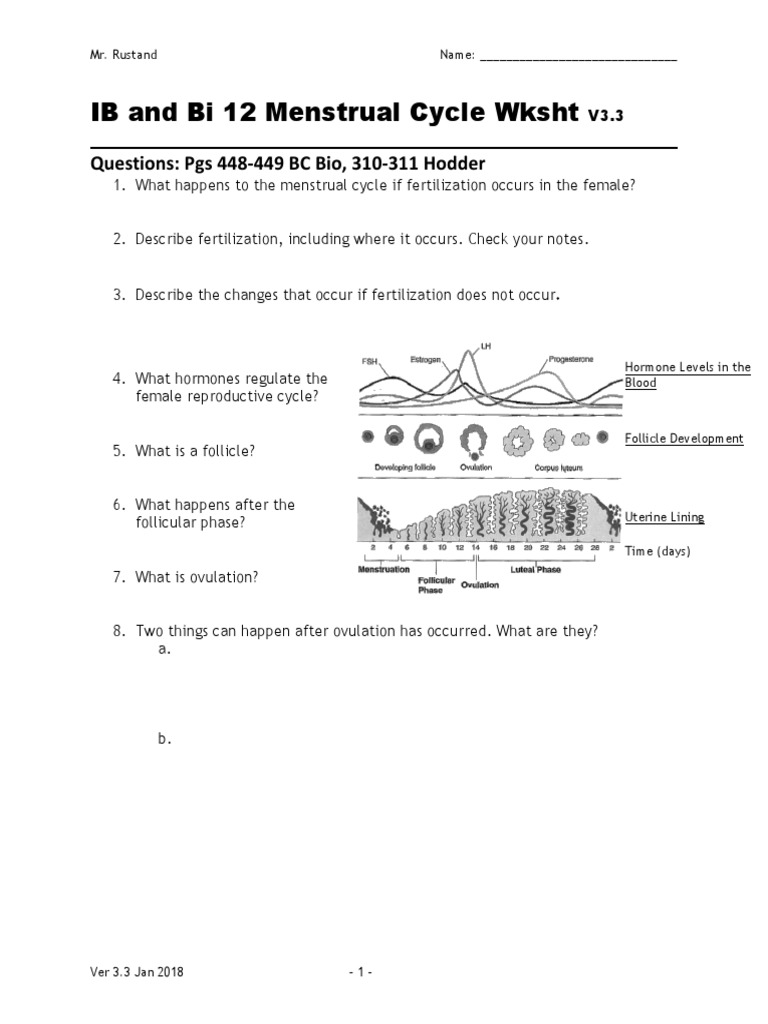IB and Bi 12 Menstrual-Cycle Worksheet W Key | PDF | Menstrual Cycle ...