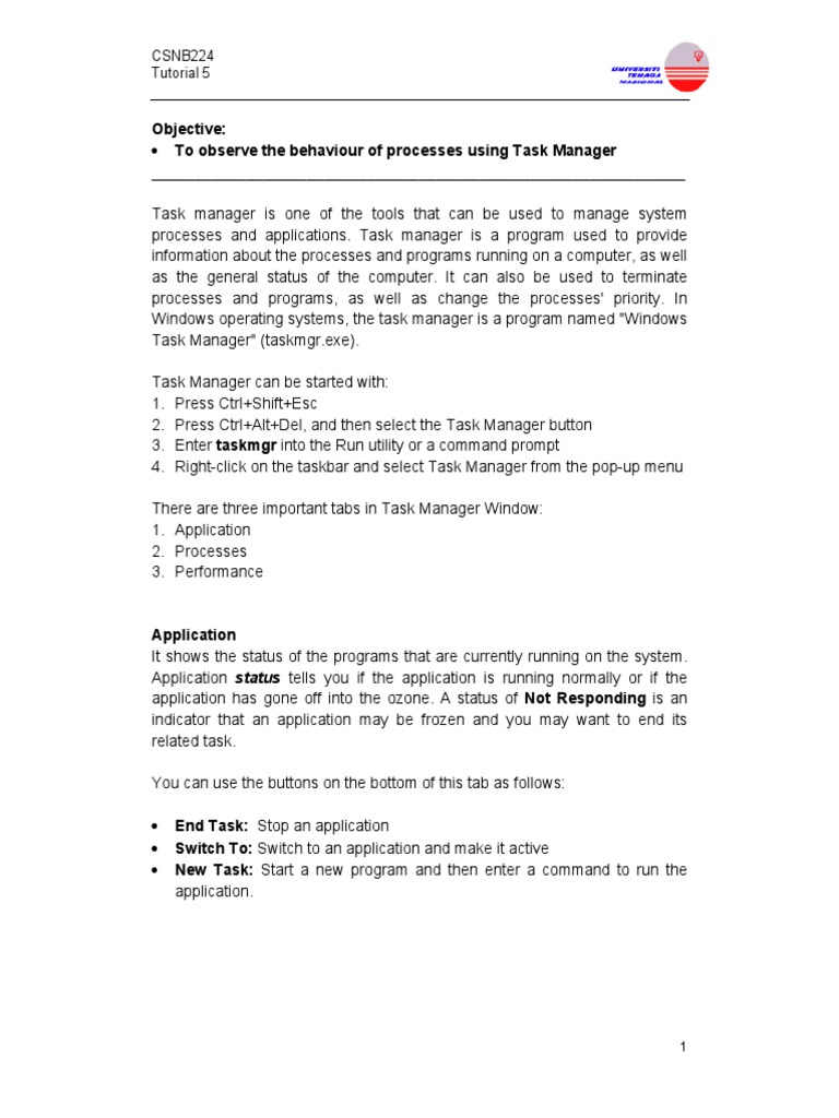 Windows Task Manager Pdf Process Computing Computer Science