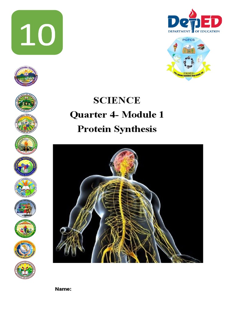 Science Quarter 4-Module 1 Protein Synthesis: Name | PDF | Translation ...