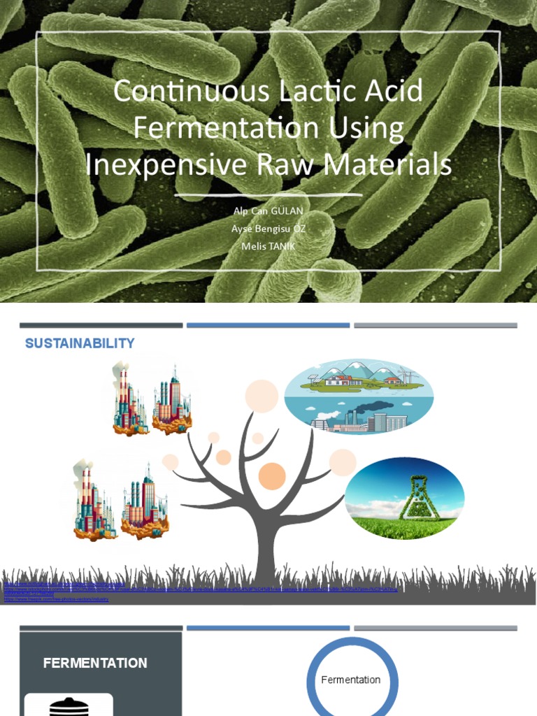 Continuous Lactic Acid Fermentation Using Inexpensive Raw Materials ...