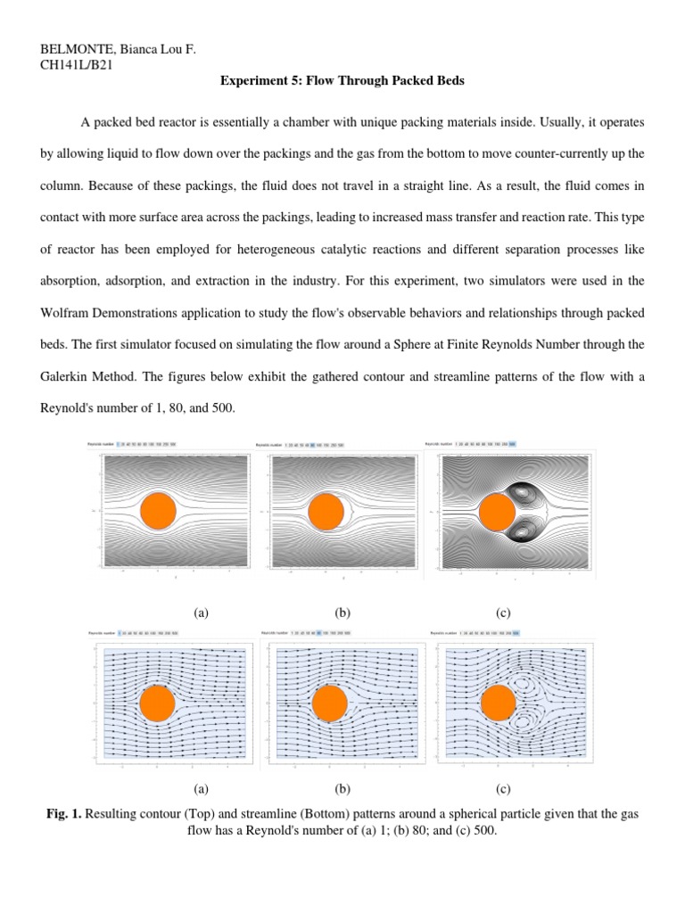 Experiment 5: Flow Through Packed Beds | Download Free PDF | Fluid Dynamics | Chemical Reactor