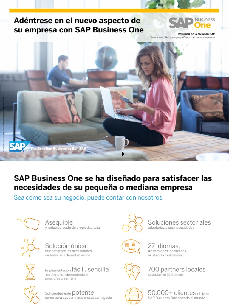 Brochure SAP B1 | PDF | Cliente | Empresas