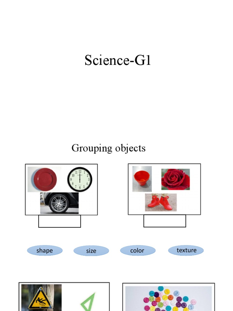 Science G1 | PDF