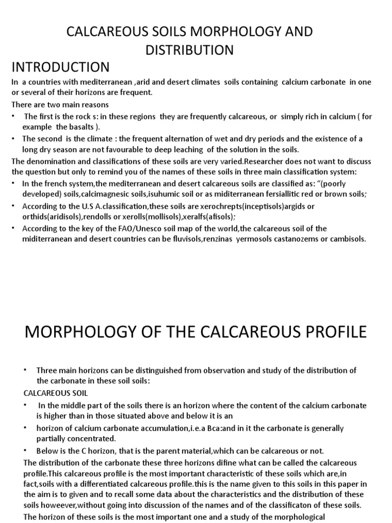 Calcareous Soil Morphology Overview | PDF | Soil | Soil Science
